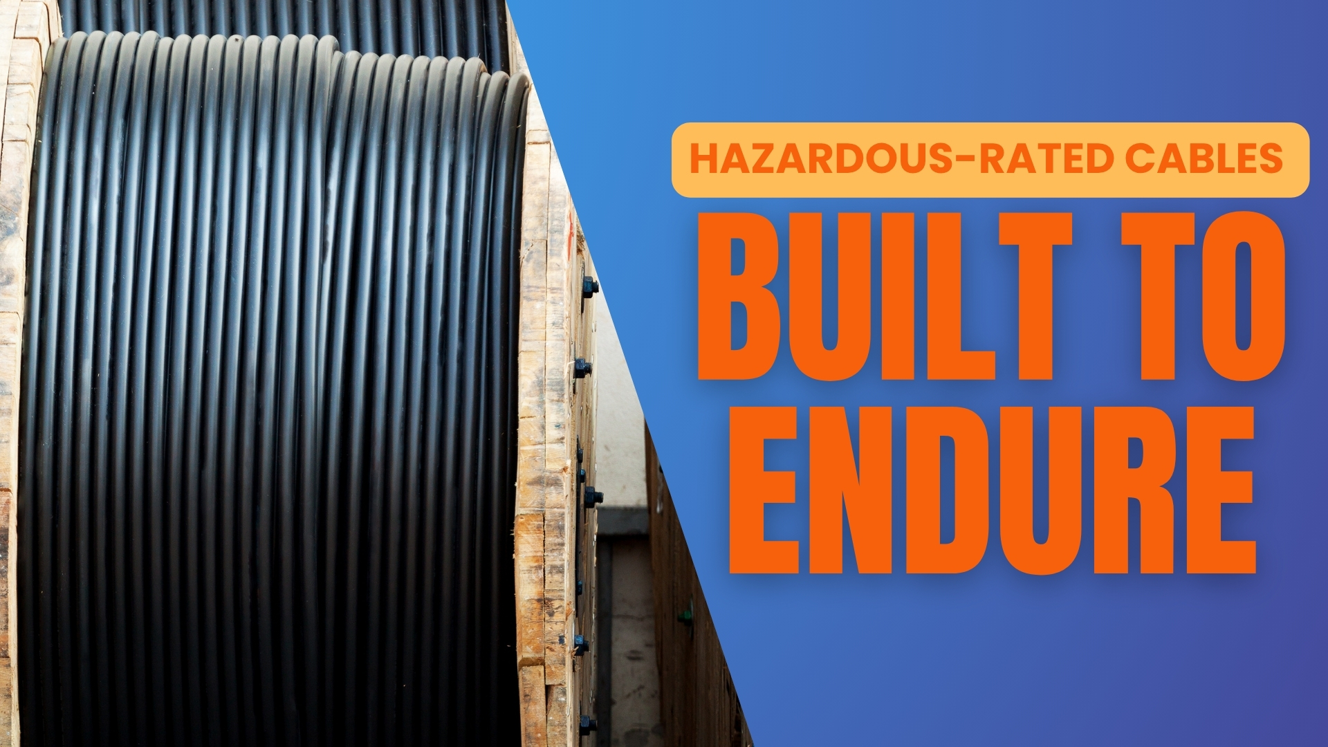 Hazardous Rated Cable Assemblies: Built to Endure
